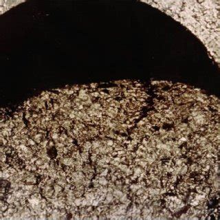 Image result for Tank Bottom Sludge