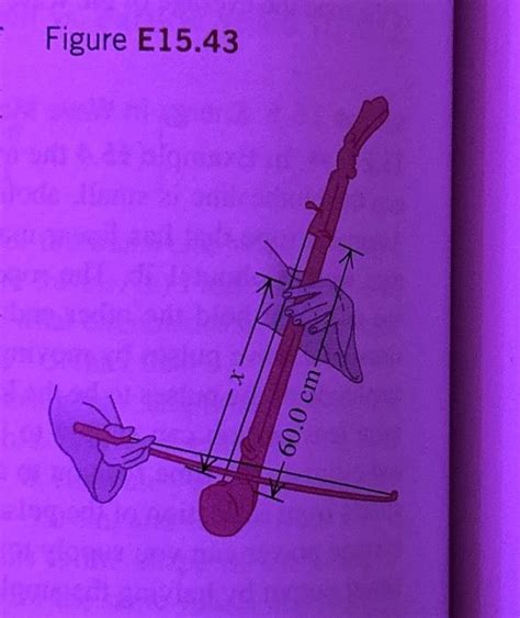 Image result for One String Instrument