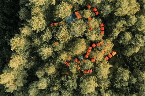 Image result for Forestkyle Java