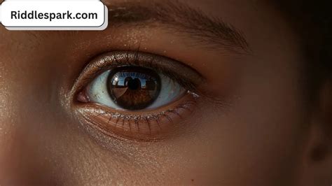 Image result for Visual Riddles