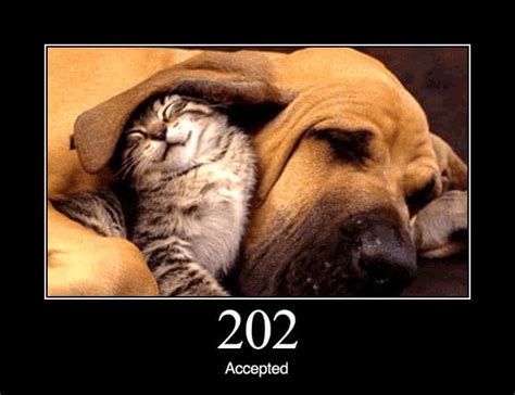 Image result for Pets Status