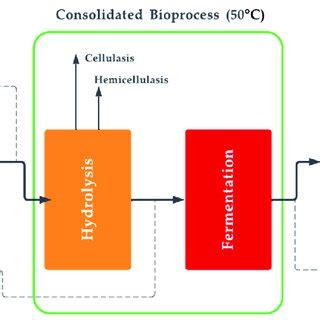 Image result for Bioethanol Production Process