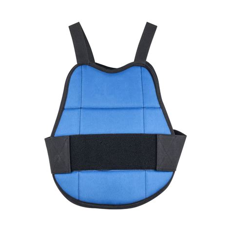 Image result for Chest Protection