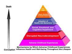 Image result for Bruce Perry Pattern of Stress