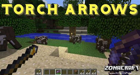 Image result for Torch Weapon Mod Minecraft