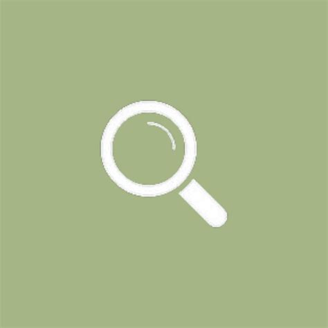 Image result for iOS Magnifier App