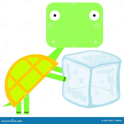 Image result for Convert Ice Chest Turtle