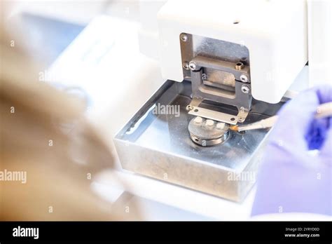 Image result for Mouse Brain Dissection