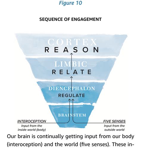 Image result for Bruce Perry Neurosequential Model