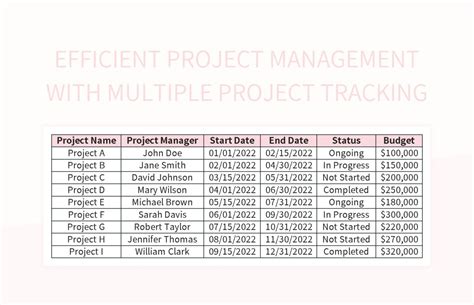 Image result for Multiple Project Tracking