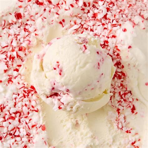 Image result for Bi-Rite Ice Cream