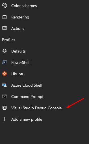Image result for Visual Studio Debug Console