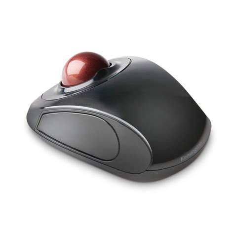 Image result for Computer Mouse Reference