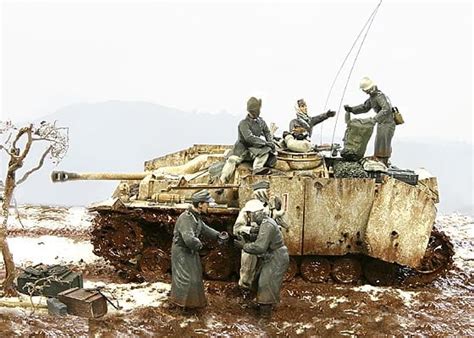 Image result for Amazon Scale Models