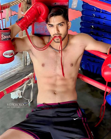 Image result for Boxer Model Mengine