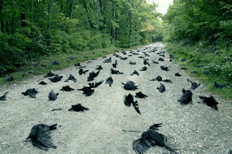 Image result for Alien Abduction Part 2