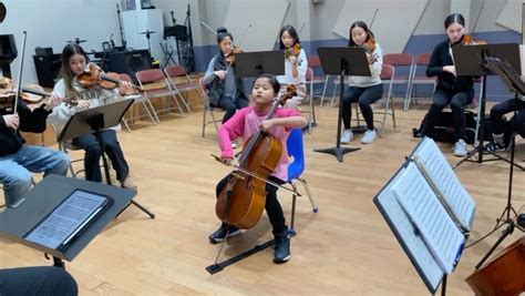 Image result for Joyous String Ensemble
