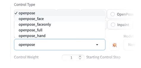 Image result for Amuse ControlNet Openpose