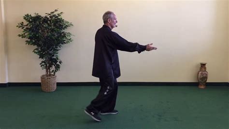 Image result for Yang Style Short Form Lesson 1 8