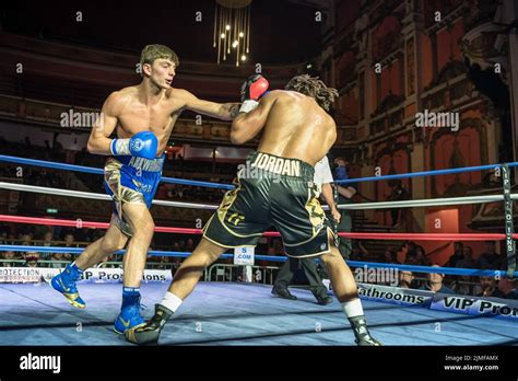 Image result for VIP Boxing