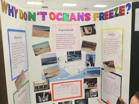 Image result for Science Fair Project Discussion Example