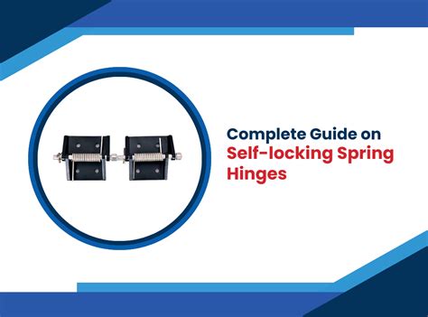 Image result for Spring Hinges Function