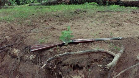 Image result for Alien Outlaw 1985 Full Movie