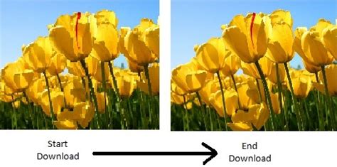 Image result for JPEG Baseline Algorithm