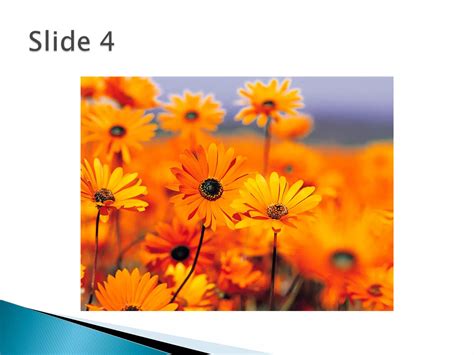 Image result for PowerPoint Explication