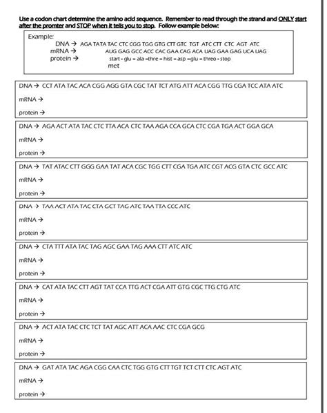 Image result for How to Use a Codon Chart Biology