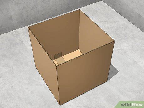 Image result for How to Catch a Lizard