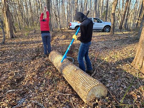 Image result for Methods to Split Large Logs