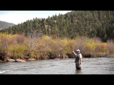 Image result for Fly Cast Tailing Loop