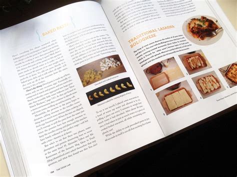 Image result for The Food Lab Blog Name