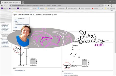 Image result for OpenSees Examples