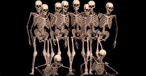 Image result for Skeleton Animation Unity