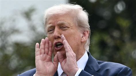 Image result for Aussie Comedian Gun Control