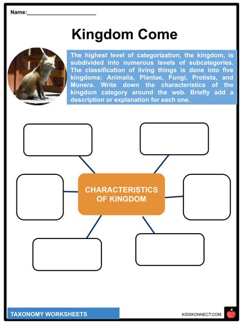 Image result for Classification Examples Grade 5
