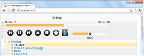 Image result for VLC Interface