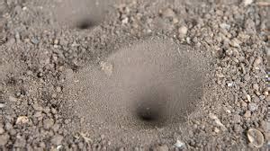 Image result for Types of Vortexes