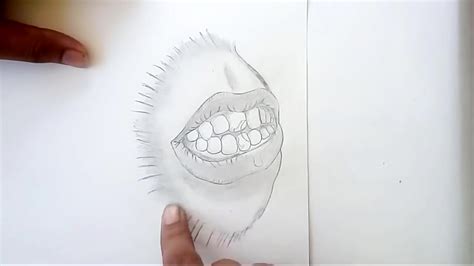 Image result for 3dRose Drawing Tutorial