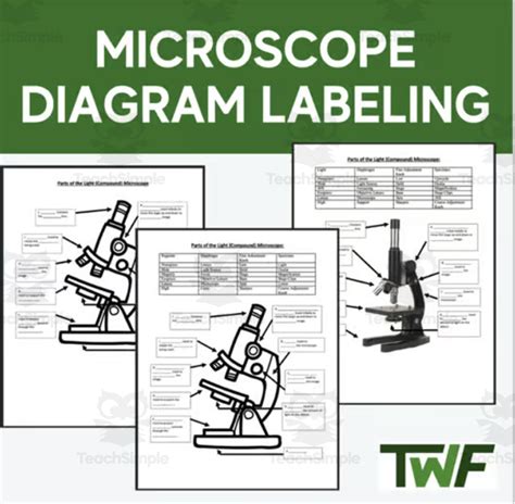 Image result for Microscope Label Diagram