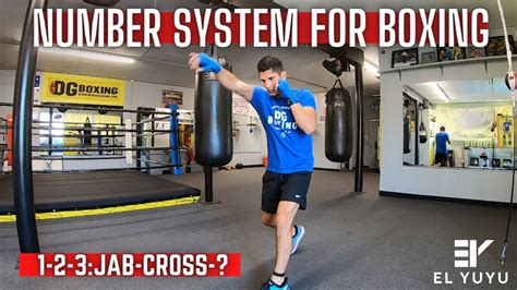 Image result for Boxing Number System