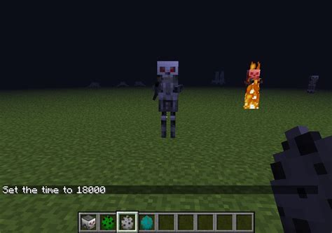 Image result for Minecraft The Terminator