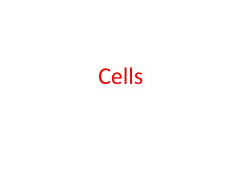 Image result for BTEC Applied Science Muscle Cell