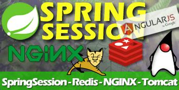 Image result for Spring Session Example