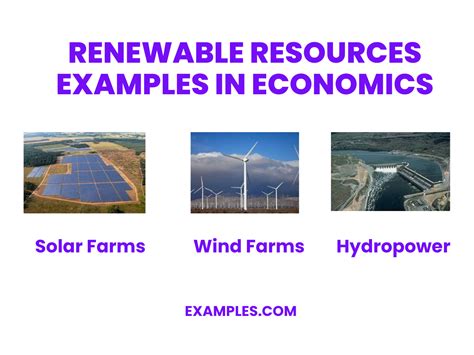 Image result for Renewable resource Examples