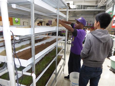 Image result for Food Lab Activity