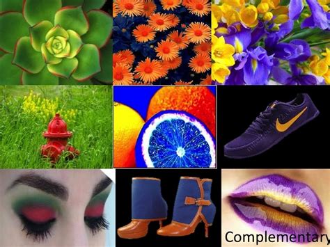 Image result for Complementary Color for Purple