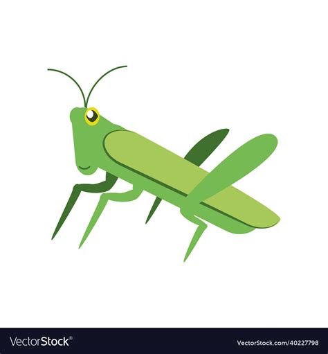Image result for Cricket Insect Greenscreen